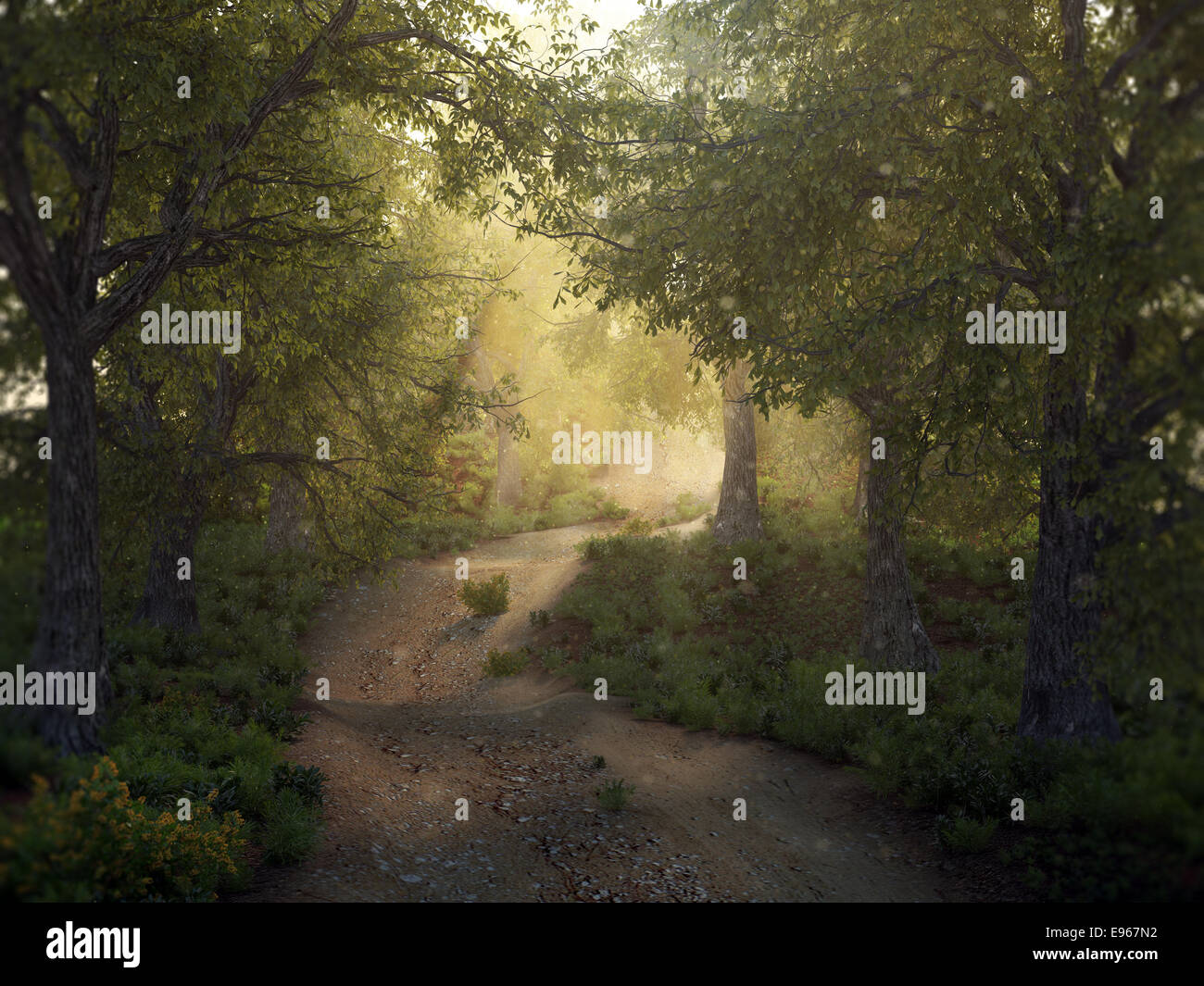 Mysty landscape hi-res stock photography and images - Alamy