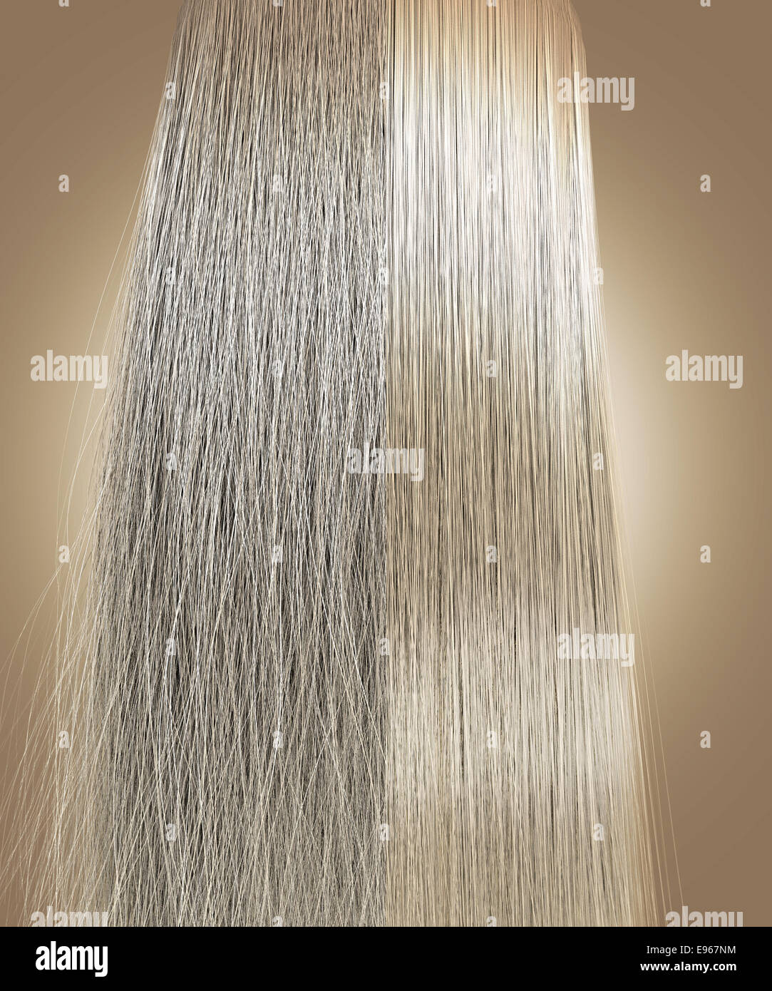 A perfect symmetrical view of a bunch of blonde hair split in two ...