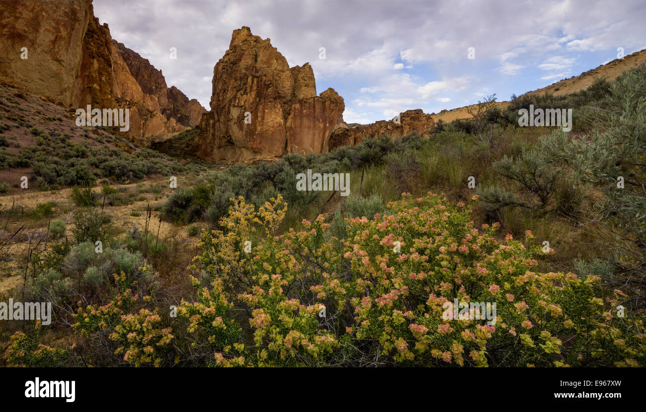 Desert in oregon hi-res stock photography and images - Alamy