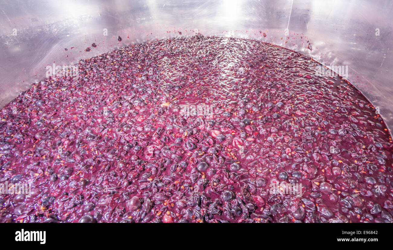 Process of a fermentation of wine in aluminium container Stock Photo - Alamy