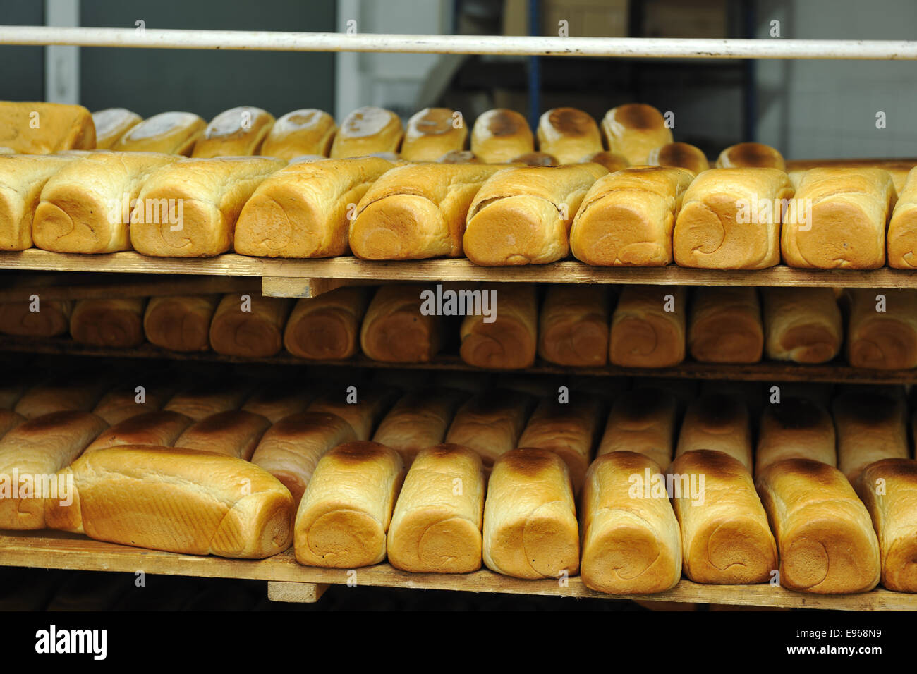 bread factory production Stock Photo - Alamy