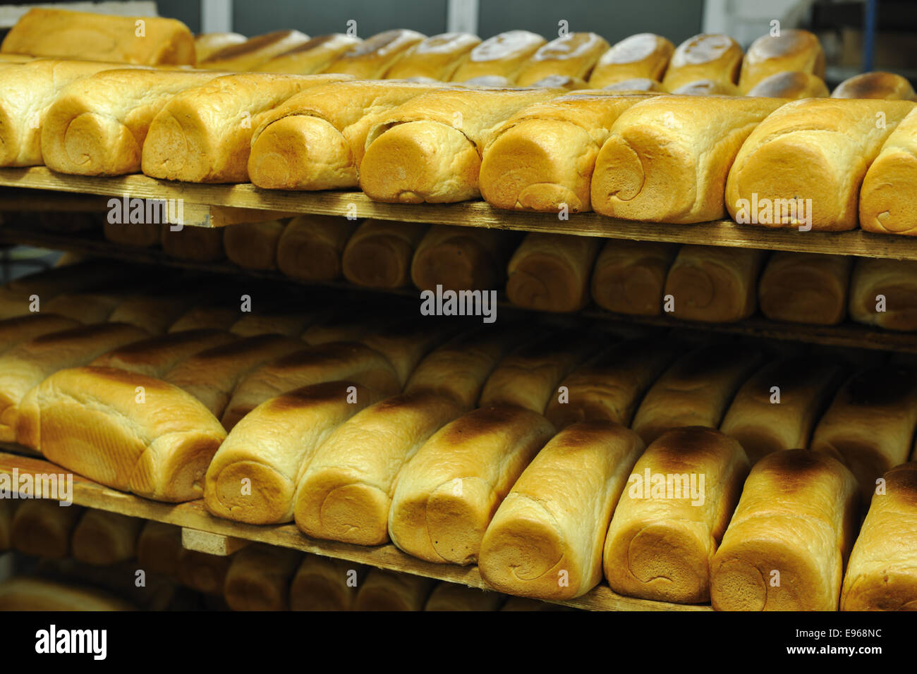 bread factory production Stock Photo - Alamy