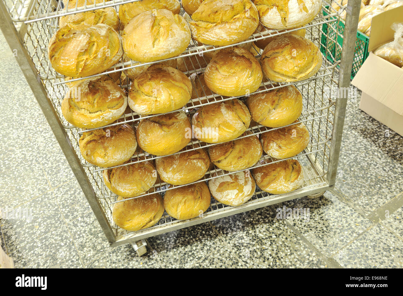 bread factory production Stock Photo - Alamy
