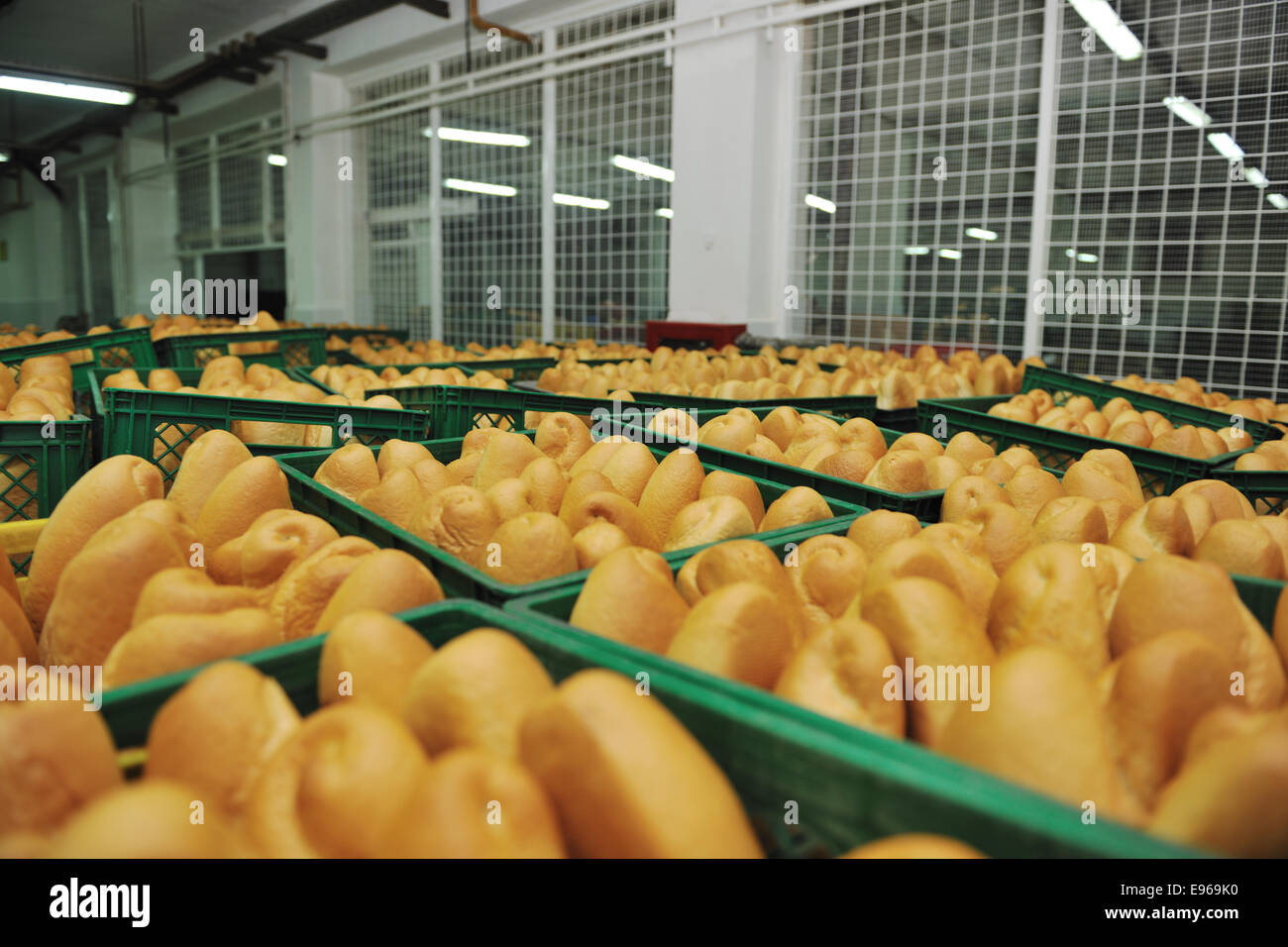 bread factory production Stock Photo - Alamy