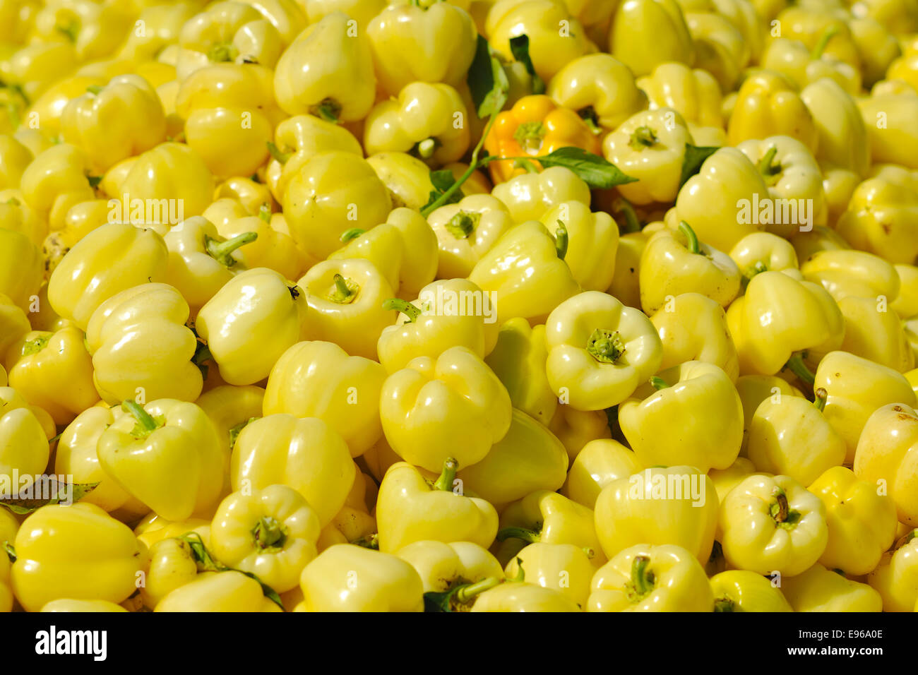 fresh organic food peppers Stock Photo - Alamy