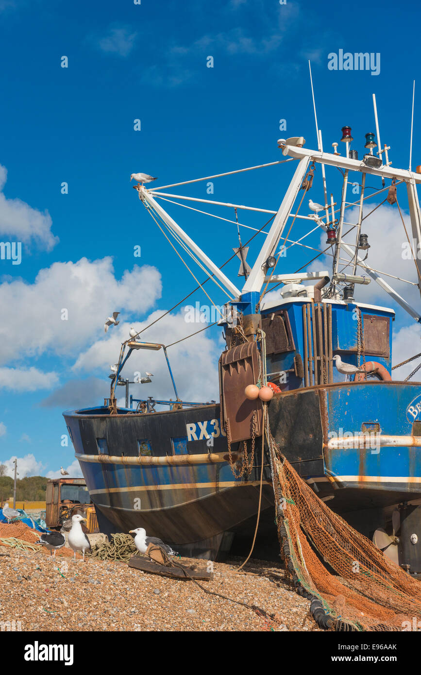 Trawler fishing nets fish hi-res stock photography and images - Alamy