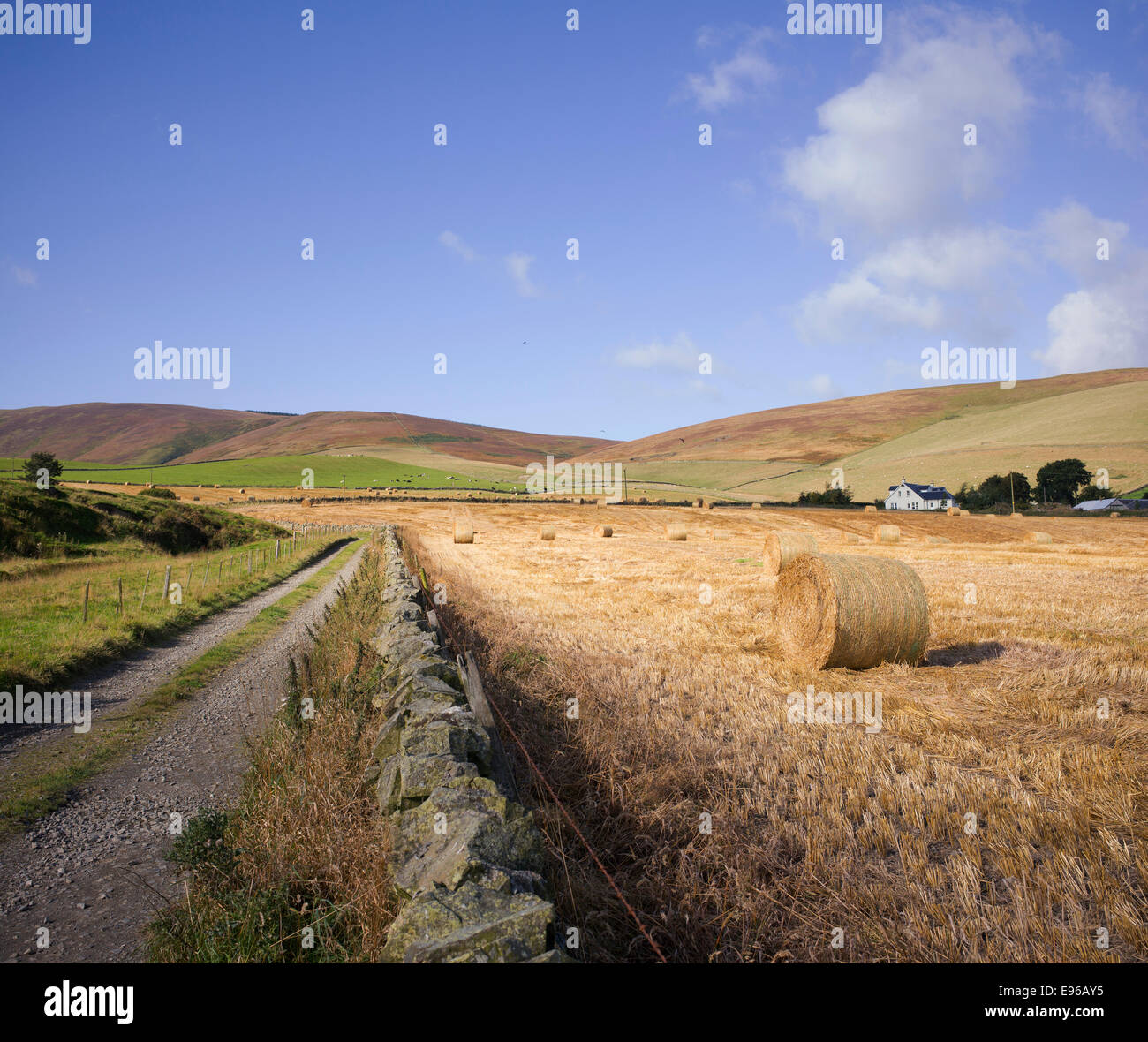 Scottish border hi-res stock photography and images - Alamy