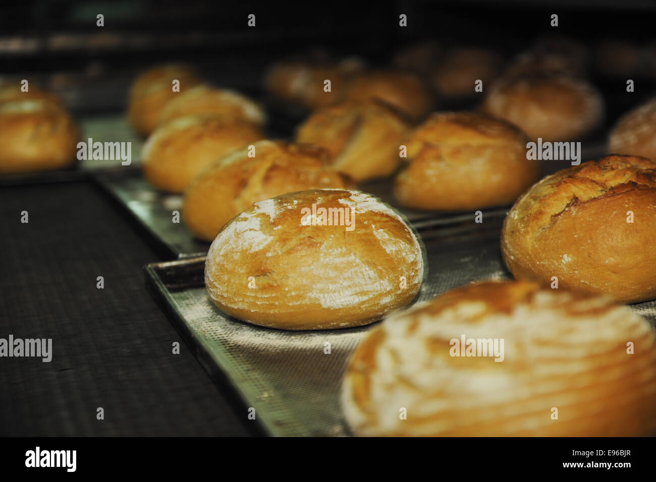 bread factory production Stock Photo - Alamy