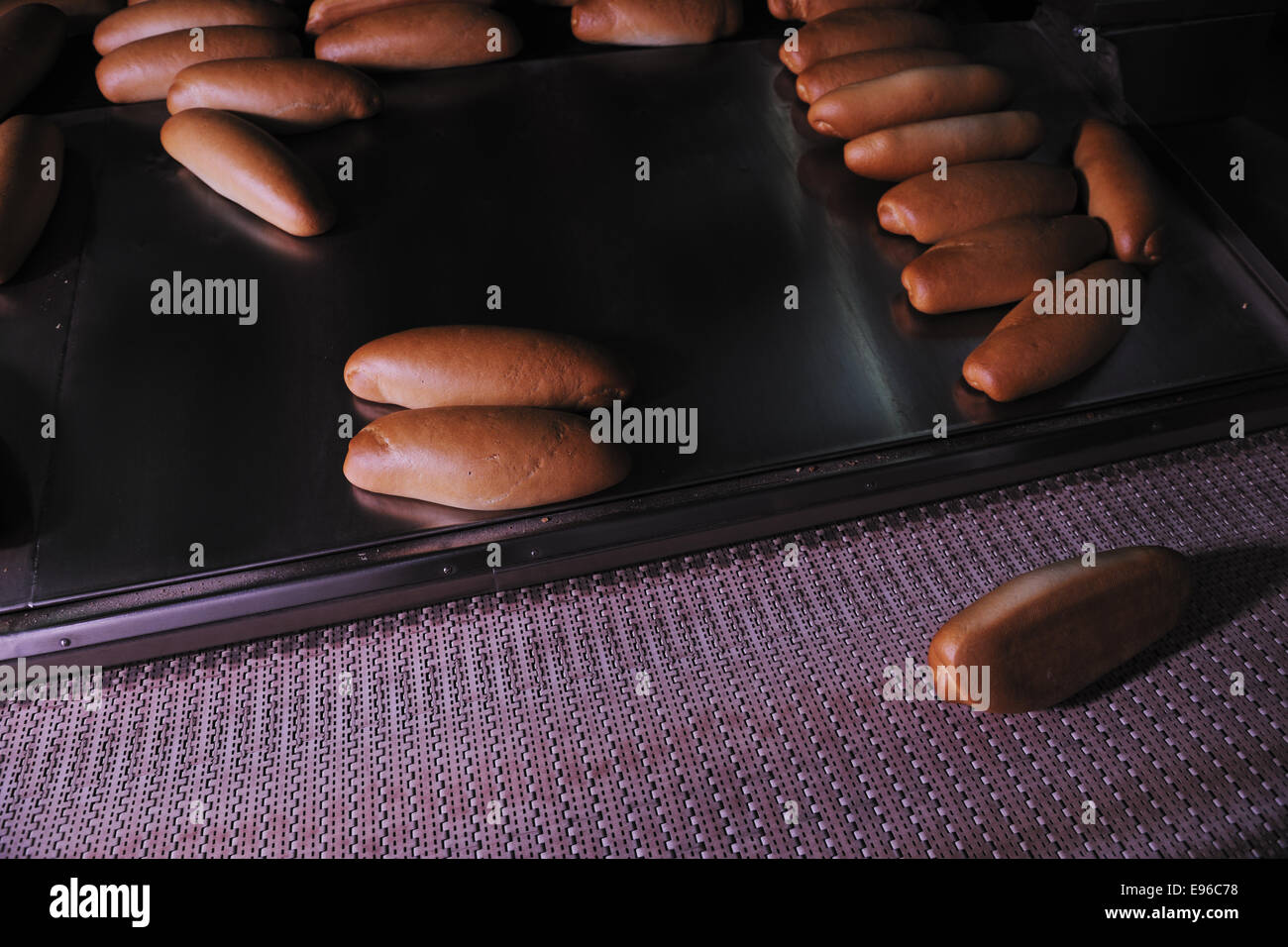 bread factory production Stock Photo - Alamy
