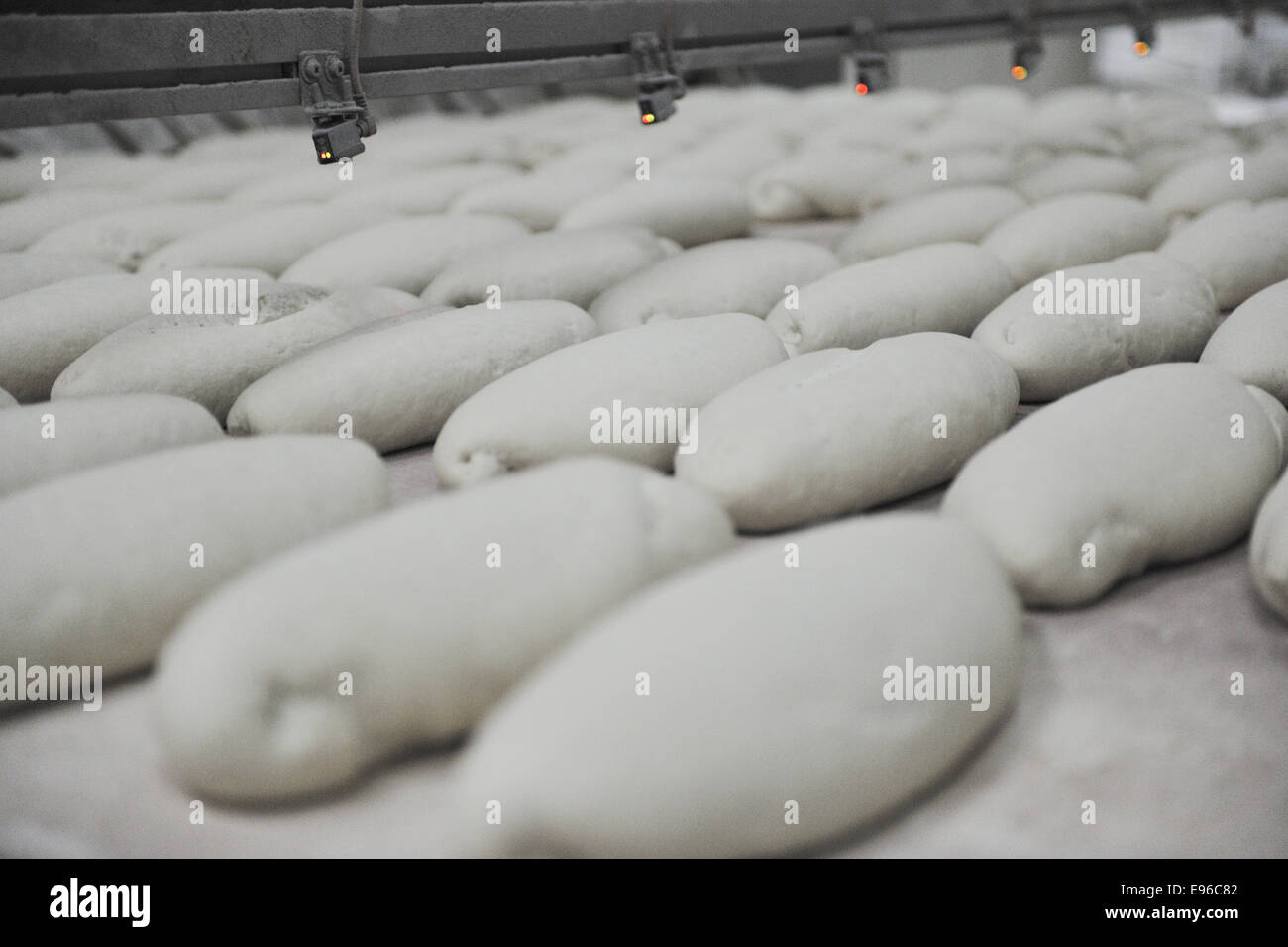 bread factory production Stock Photo - Alamy