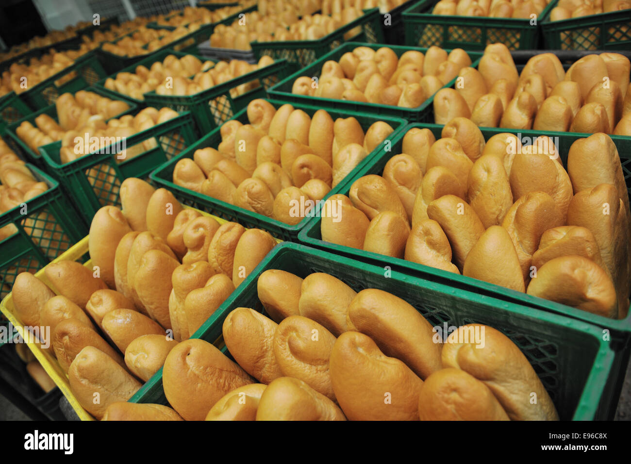 bread factory production Stock Photo - Alamy