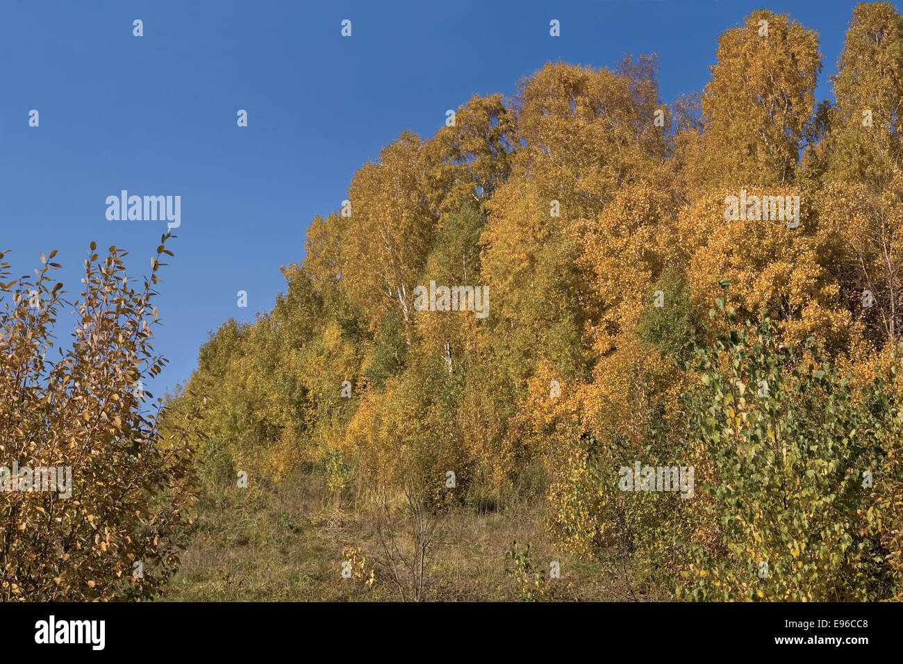 Mellow landscape hi-res stock photography and images - Alamy