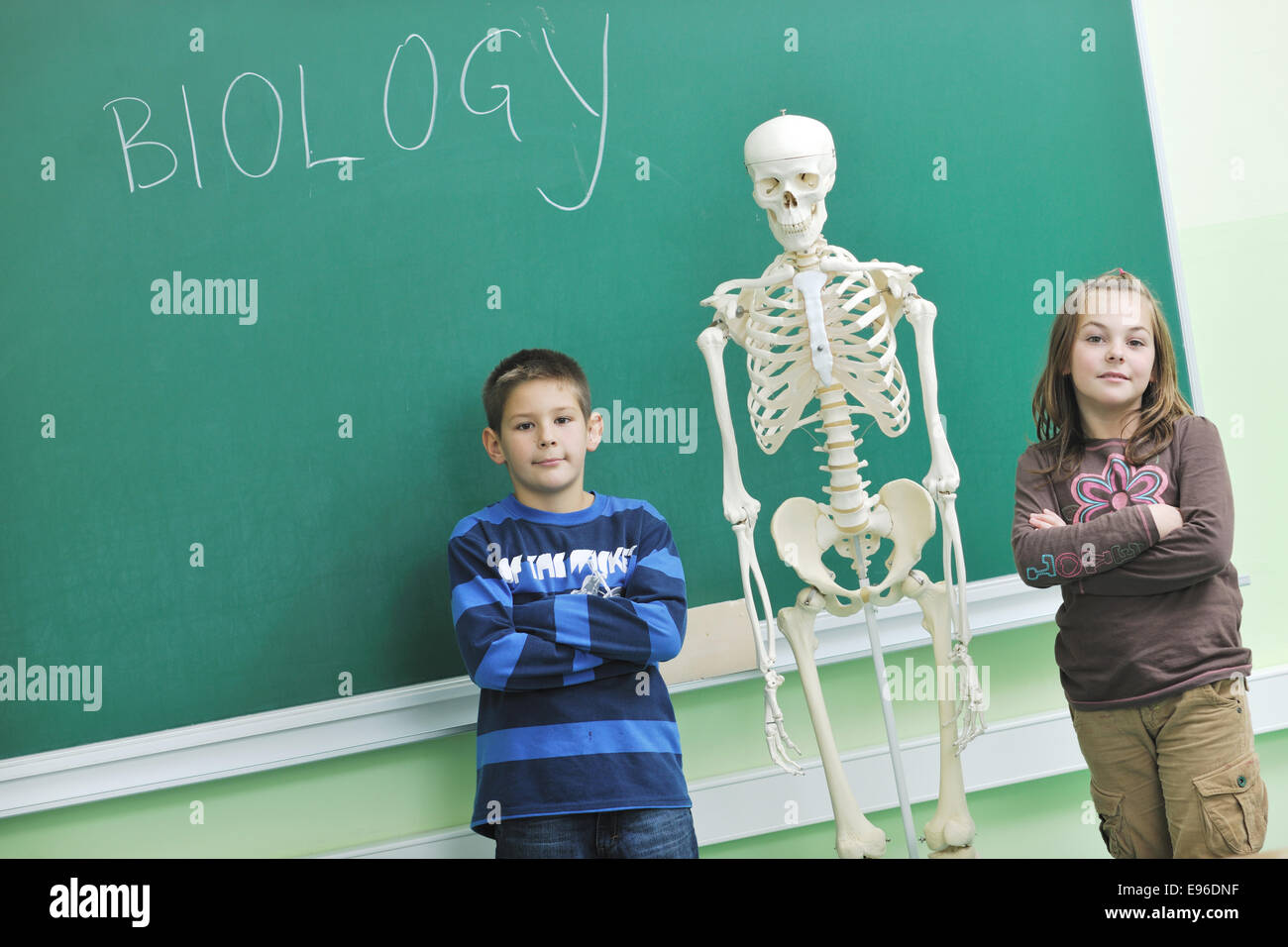 learn biology in school Stock Photo - Alamy