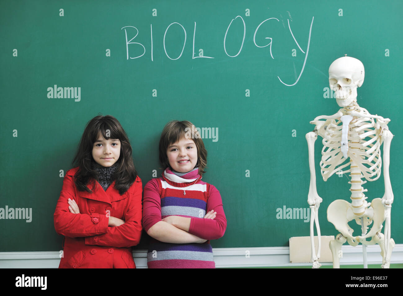learn biology in school Stock Photo - Alamy