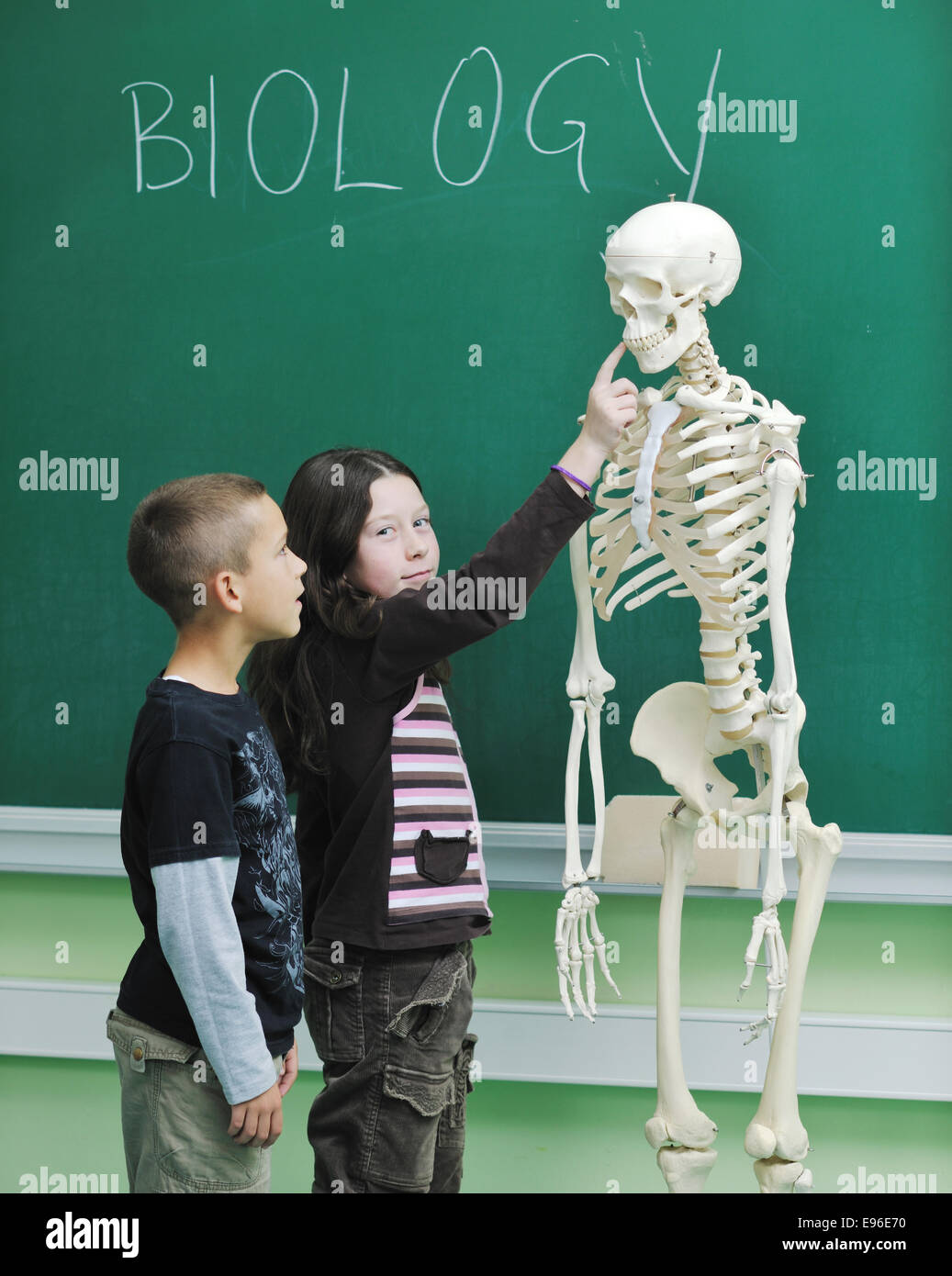 learn biology in school Stock Photo - Alamy