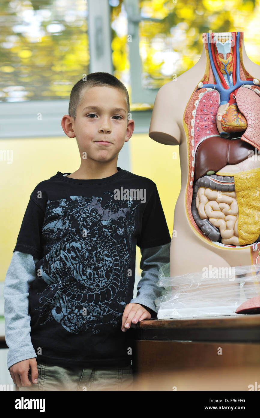 Child adult skeleton anatomy hi-res stock photography and images - Alamy