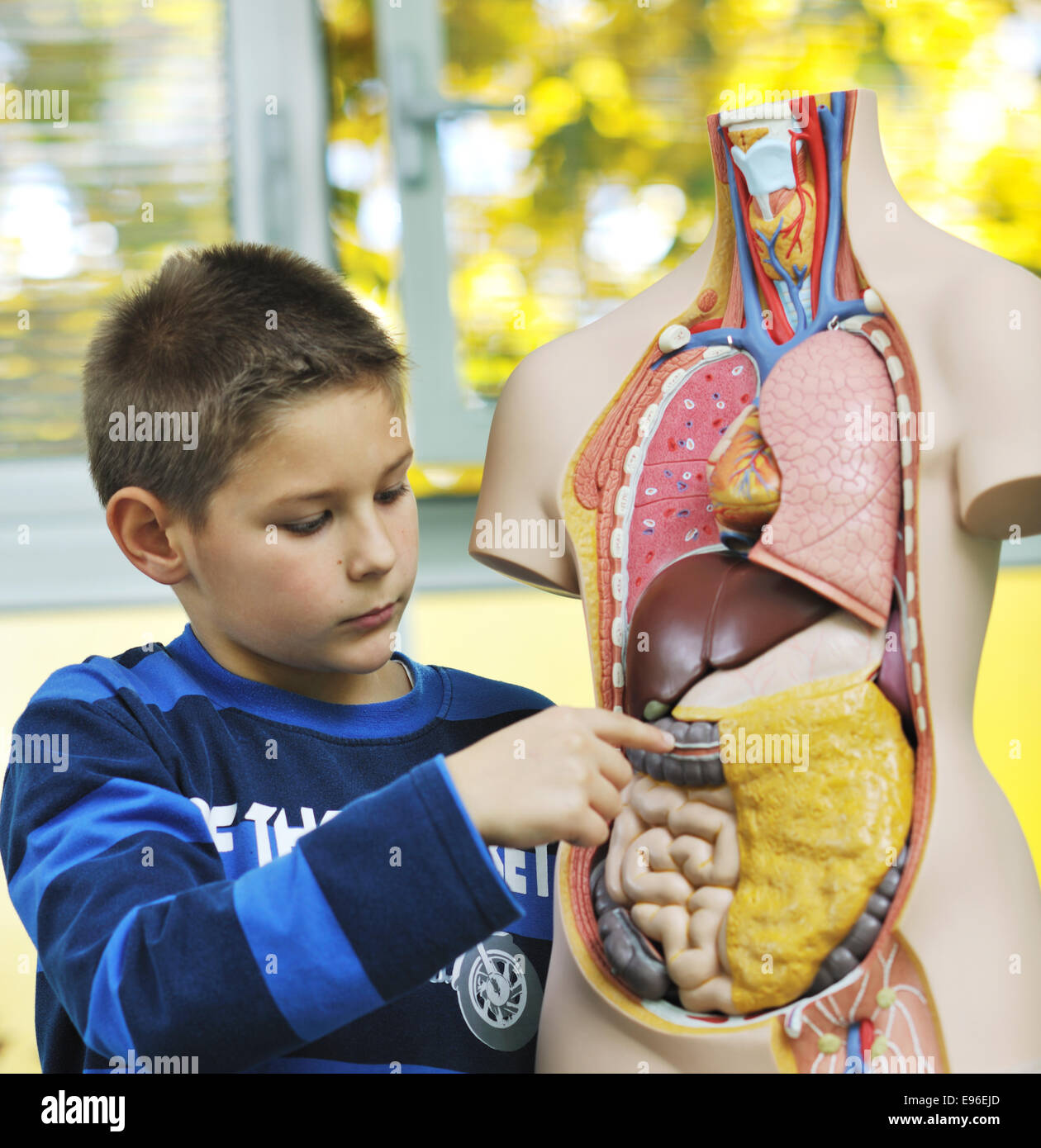 learn biology in school Stock Photo - Alamy