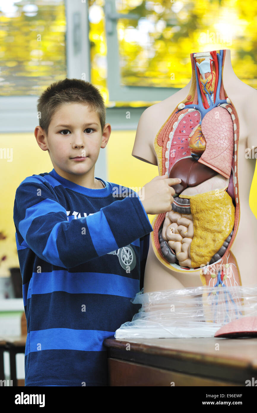 learn biology in school Stock Photo - Alamy