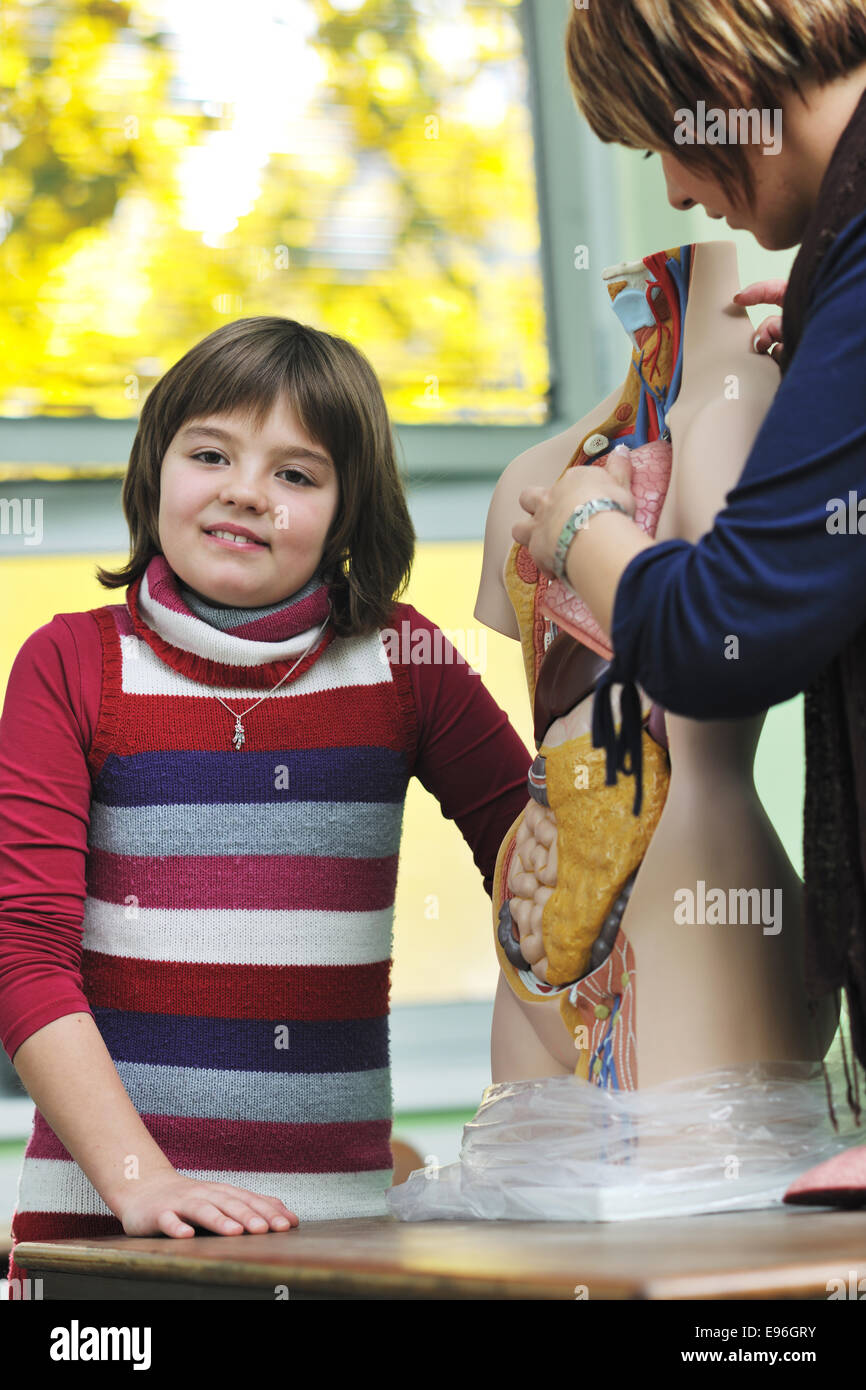 learn biology in school Stock Photo - Alamy