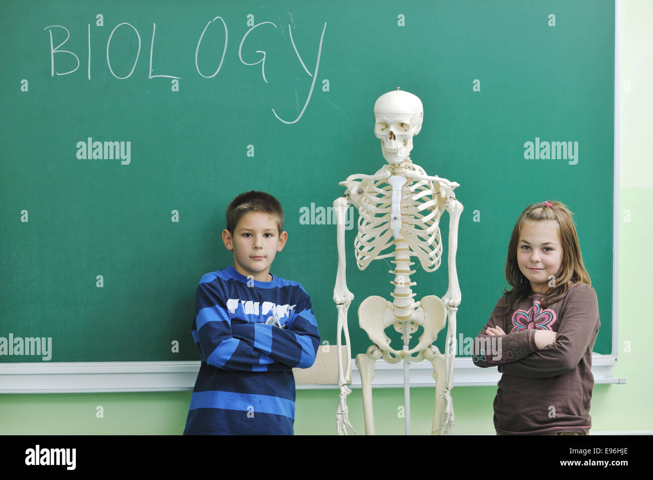 learn biology in school Stock Photo - Alamy