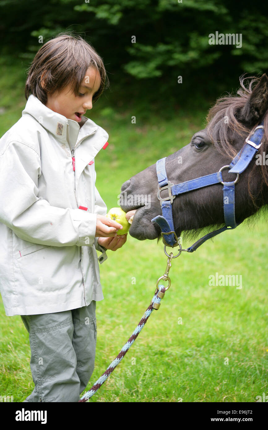 Horse eating apple hi-res stock photography and images - Alamy