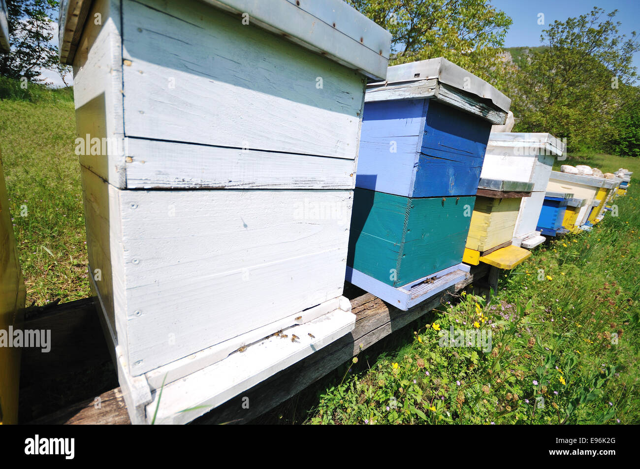 bee home at meadow Stock Photo - Alamy