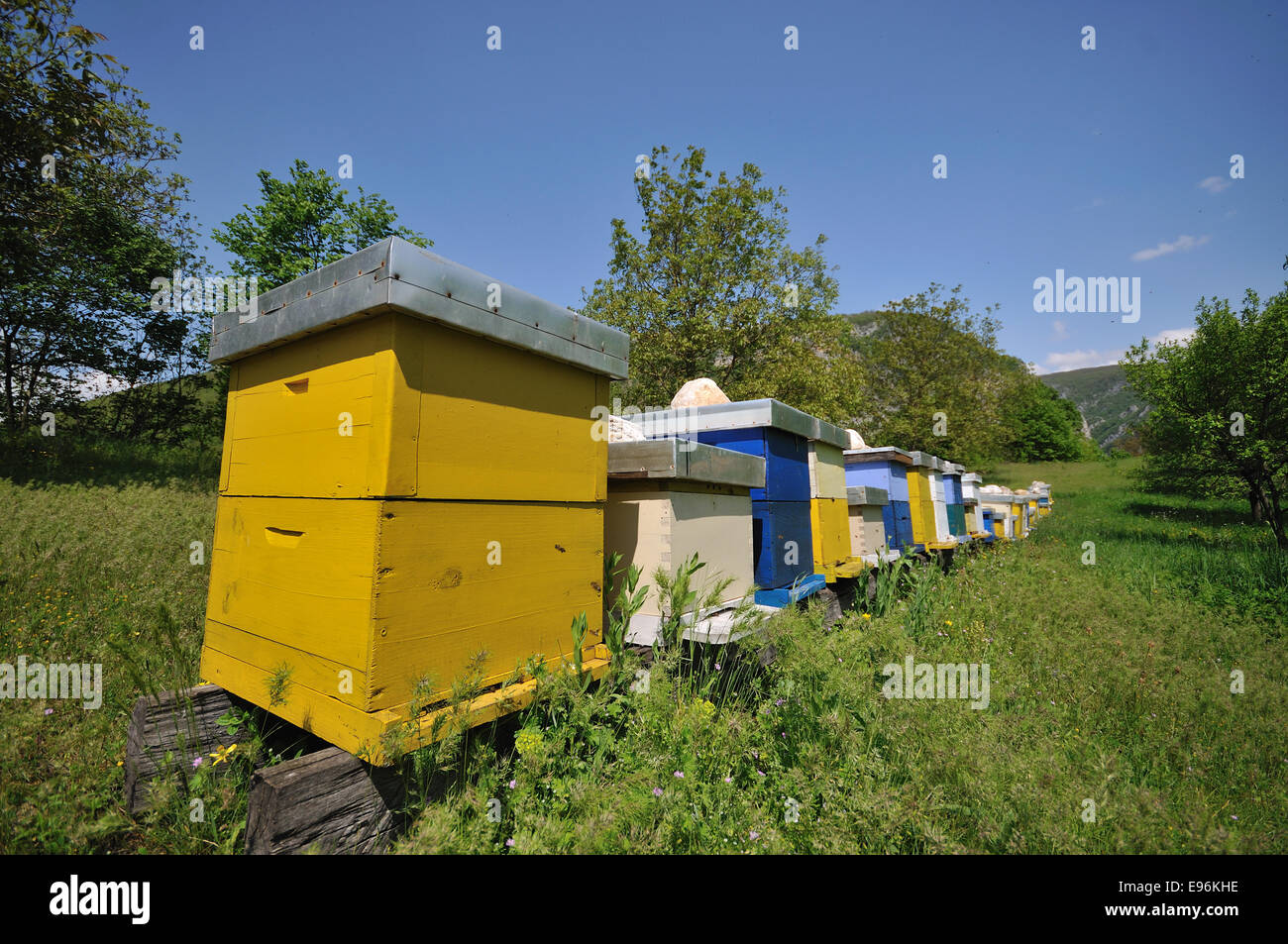 bee home at meadow Stock Photo - Alamy