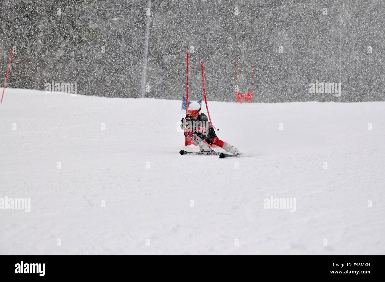 Skier slalom gates hi-res stock photography and images - Alamy