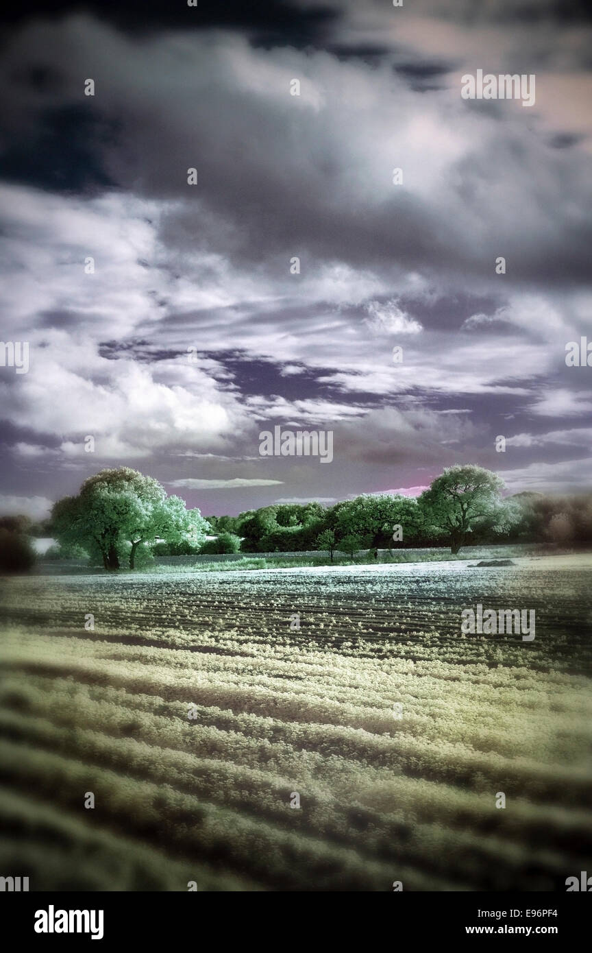 Snape suffolk uk hi-res stock photography and images - Alamy