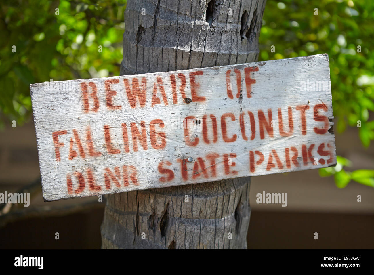 Sign warning falling coconuts hi-res stock photography and images - Alamy
