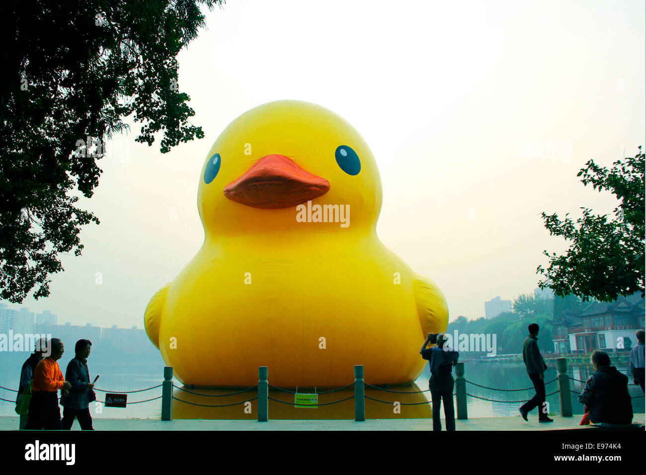 Nanjing, China. 19th Oct, 2014. The Rubber Duck which designed by ...