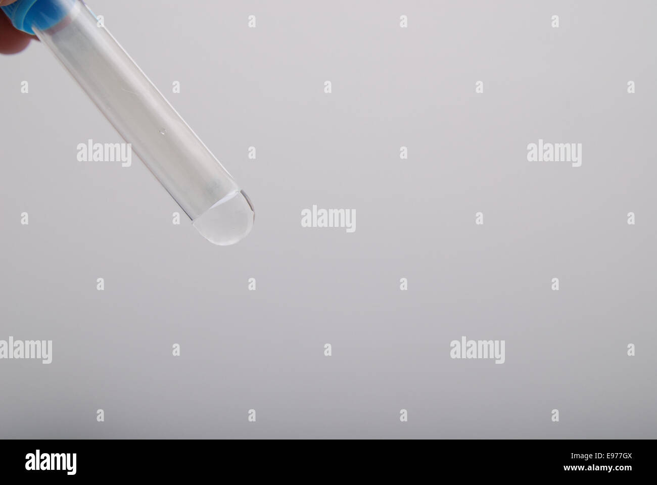 test-tube in woman hand Stock Photo - Alamy