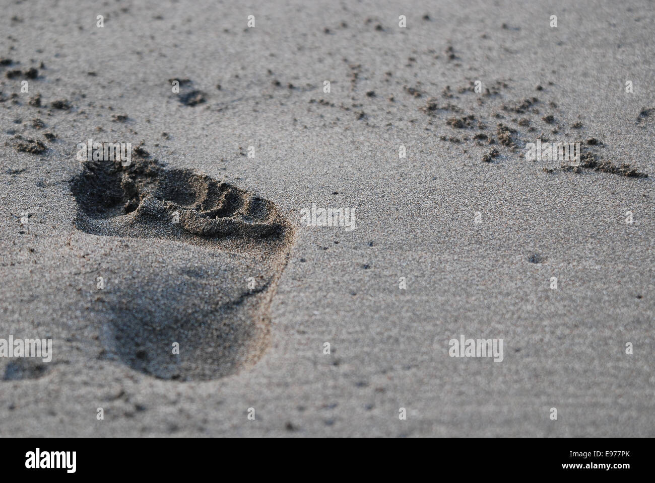 Right footprint on sand hi-res stock photography and images - Alamy