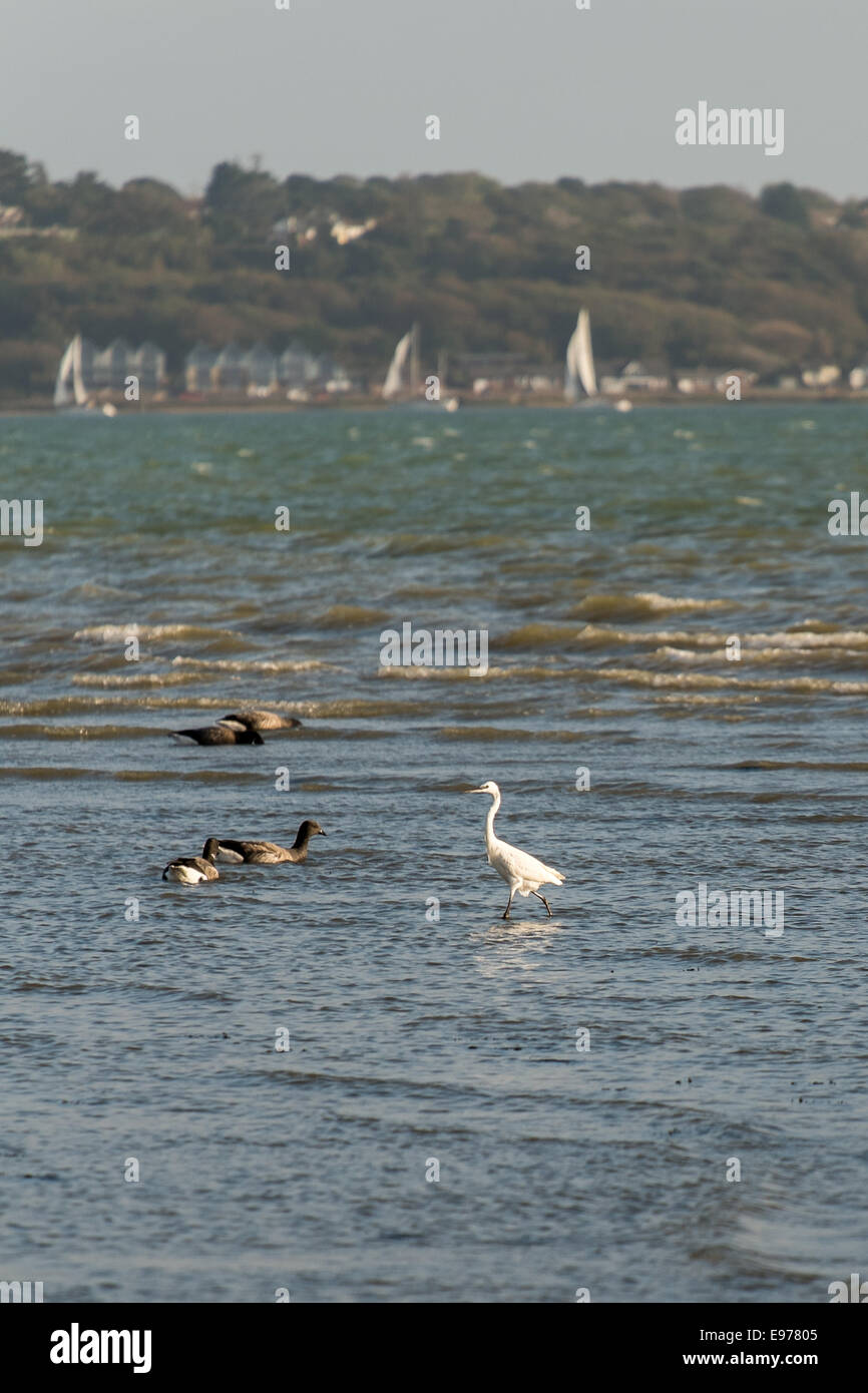 Ingret hi-res stock photography and images - Alamy