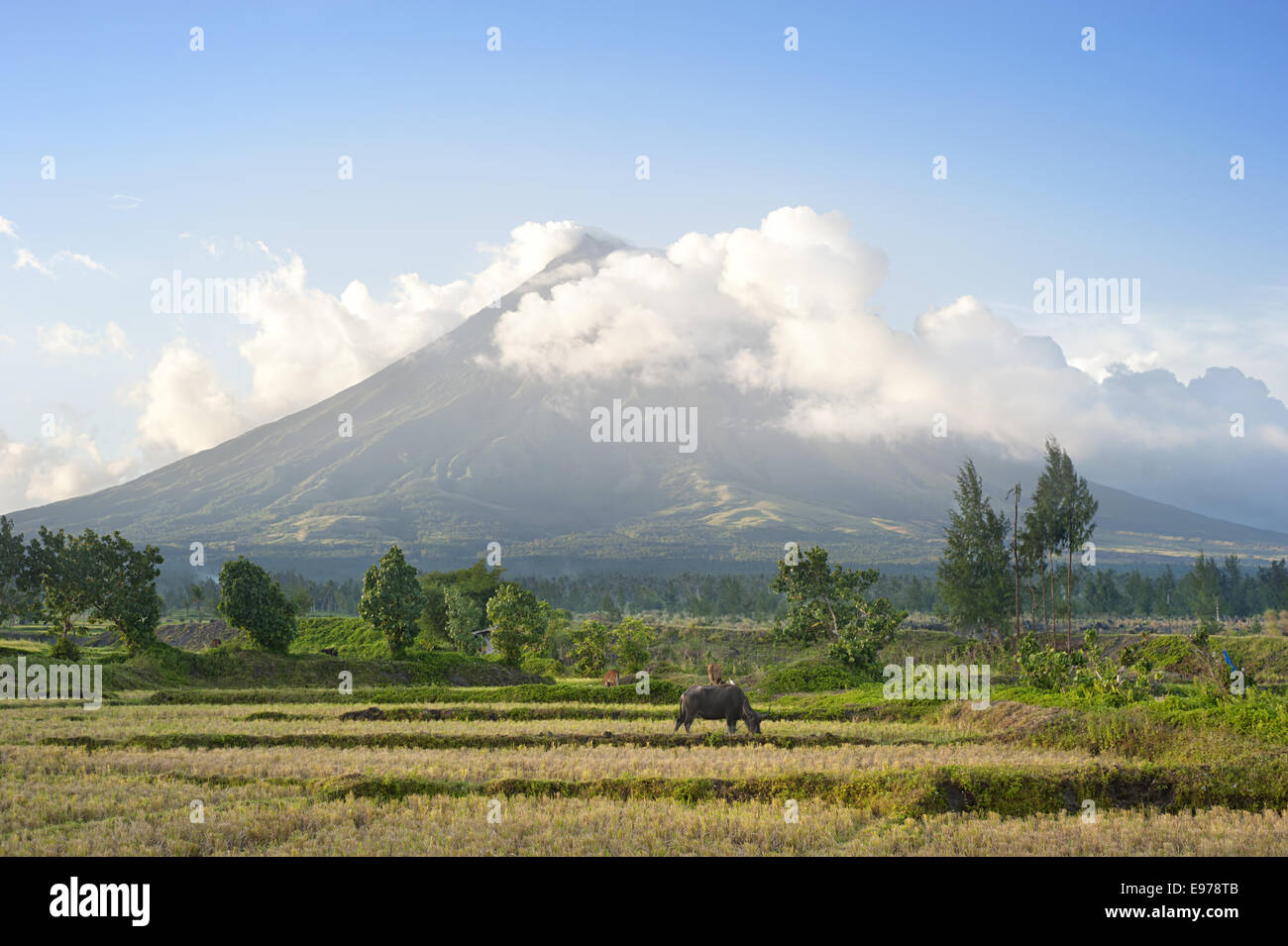 Mayon volcano hi-res stock photography and images - Alamy