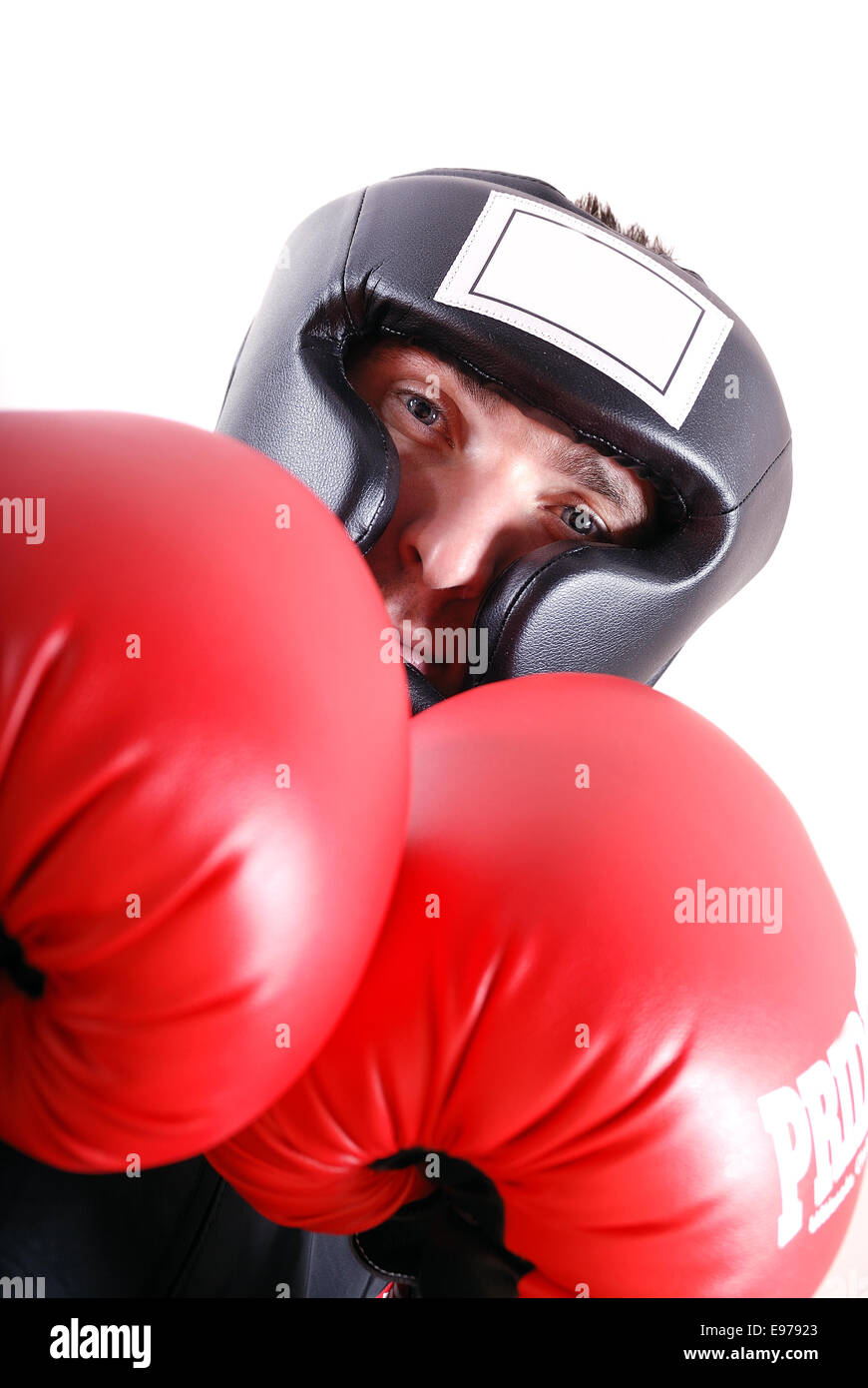 .boxer face closeup Stock Photo - Alamy