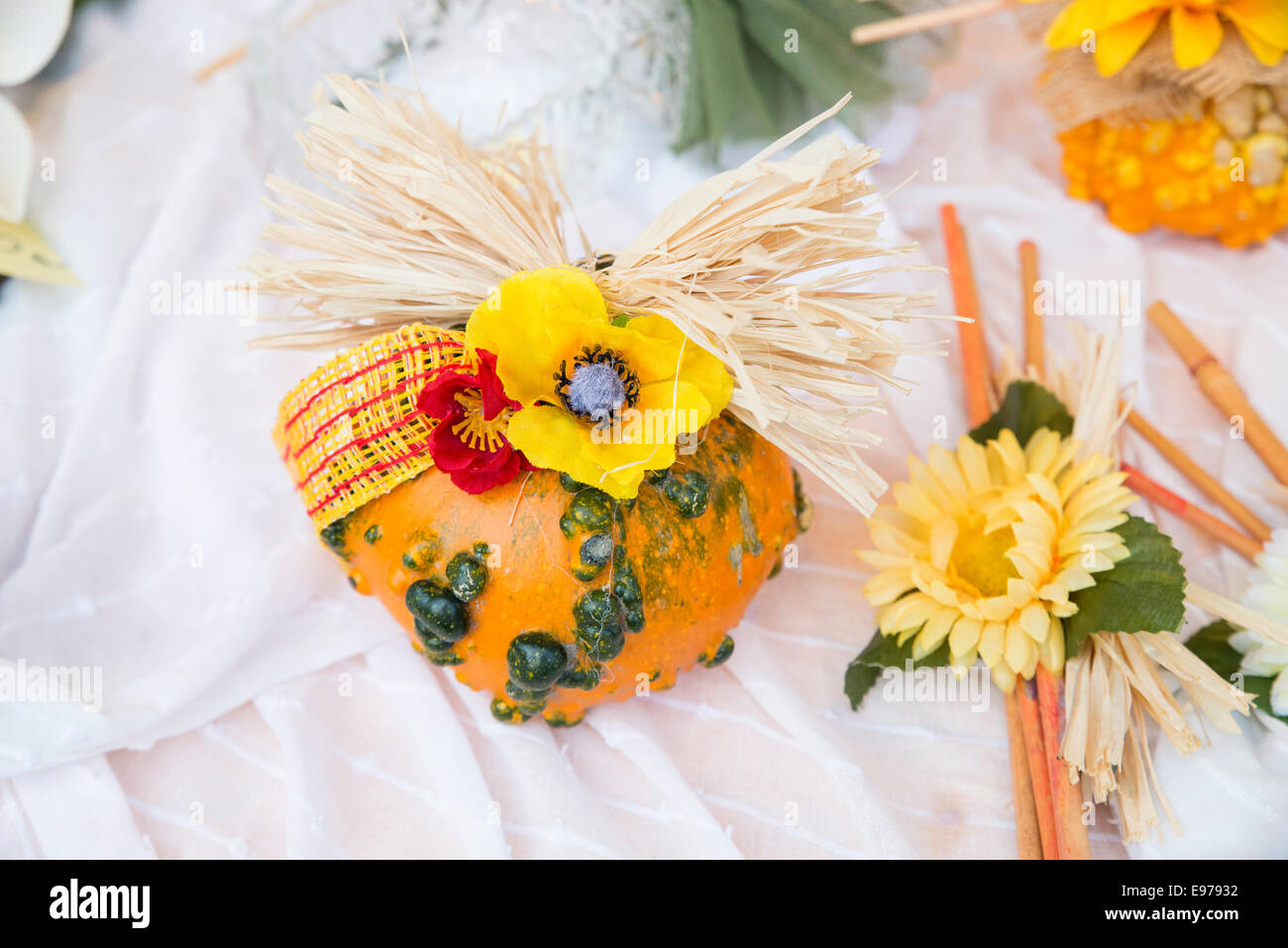 Blooming pumpkin flowers hi-res stock photography and images - Alamy