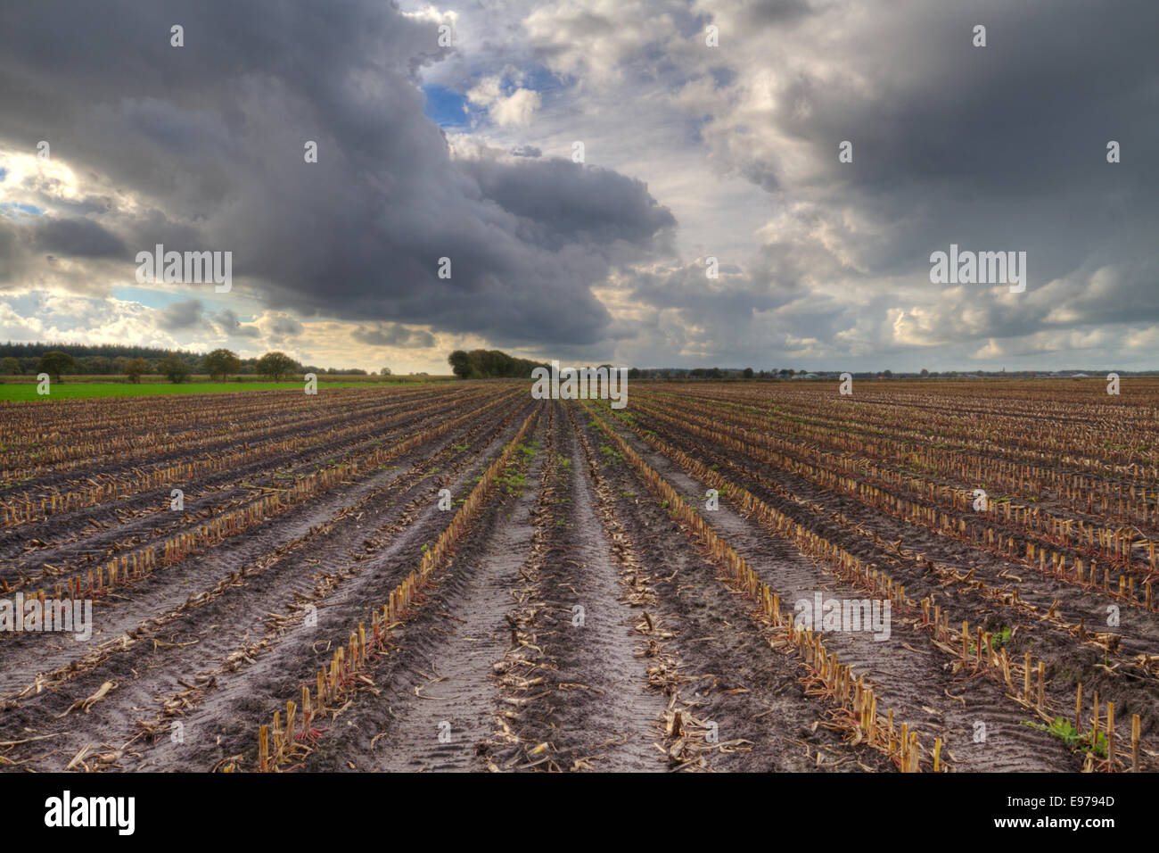 Empty clouds hi-res stock photography and images - Alamy