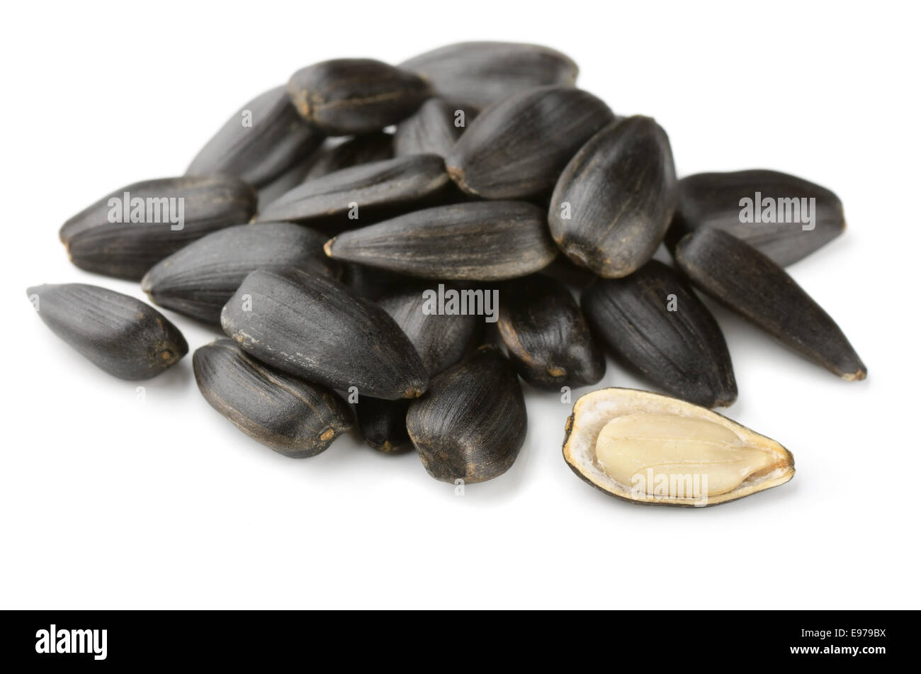 Macro sunflower photography close Cut Out Stock Images & Pictures - Alamy