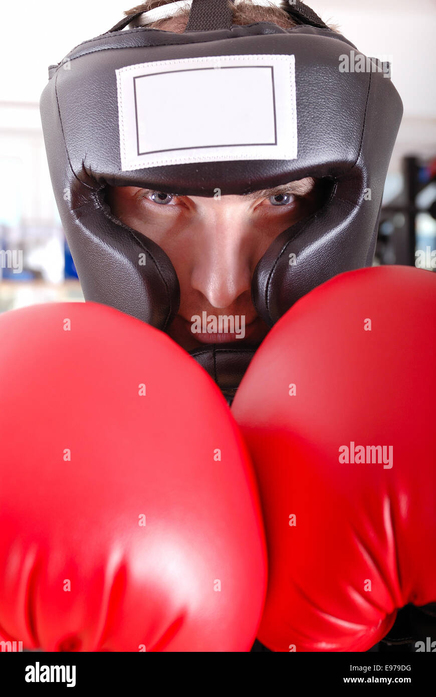 .boxer face closeup Stock Photo - Alamy