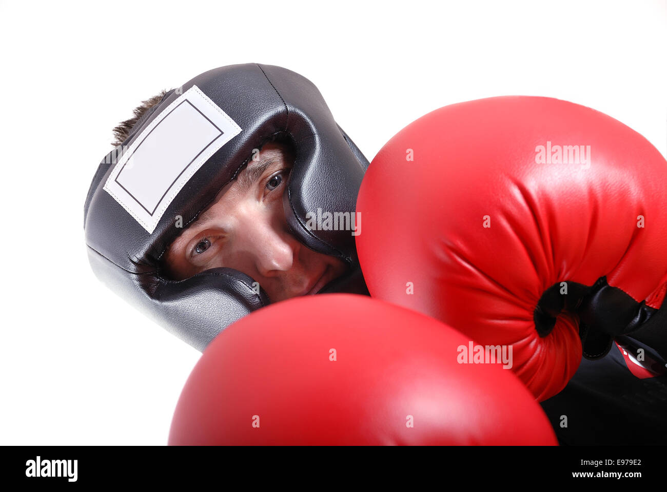 .boxer face closeup Stock Photo - Alamy