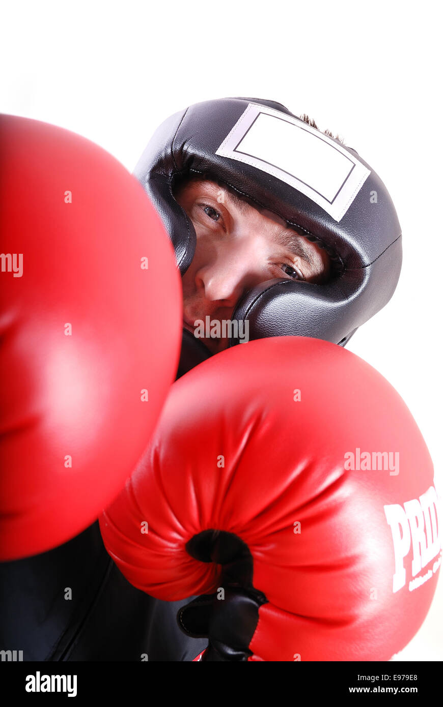 .boxer face closeup Stock Photo - Alamy