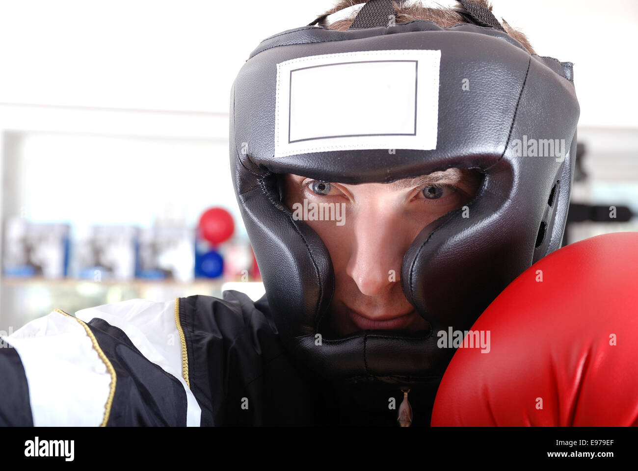 .boxer face closeup Stock Photo - Alamy