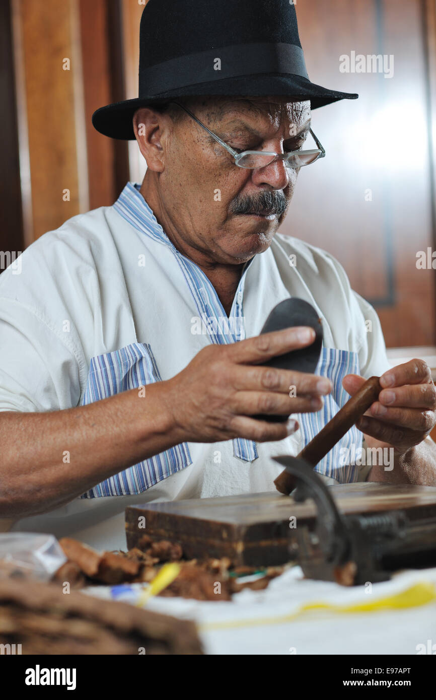 man making luxury handmade cuban cigare Stock Photo - Alamy