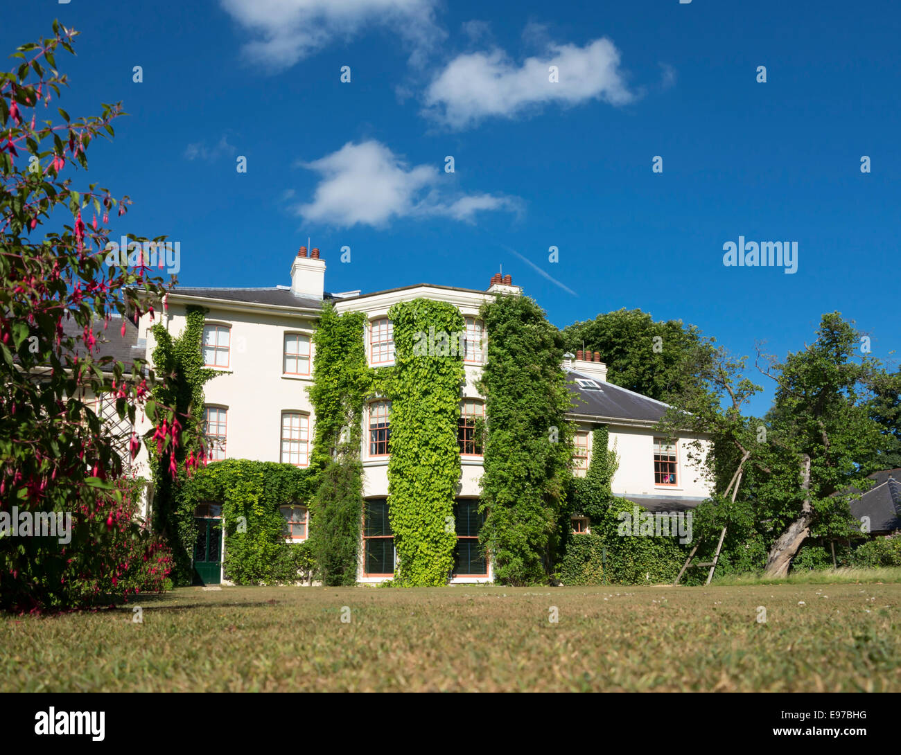 Down house darwin hi-res stock photography and images - Alamy