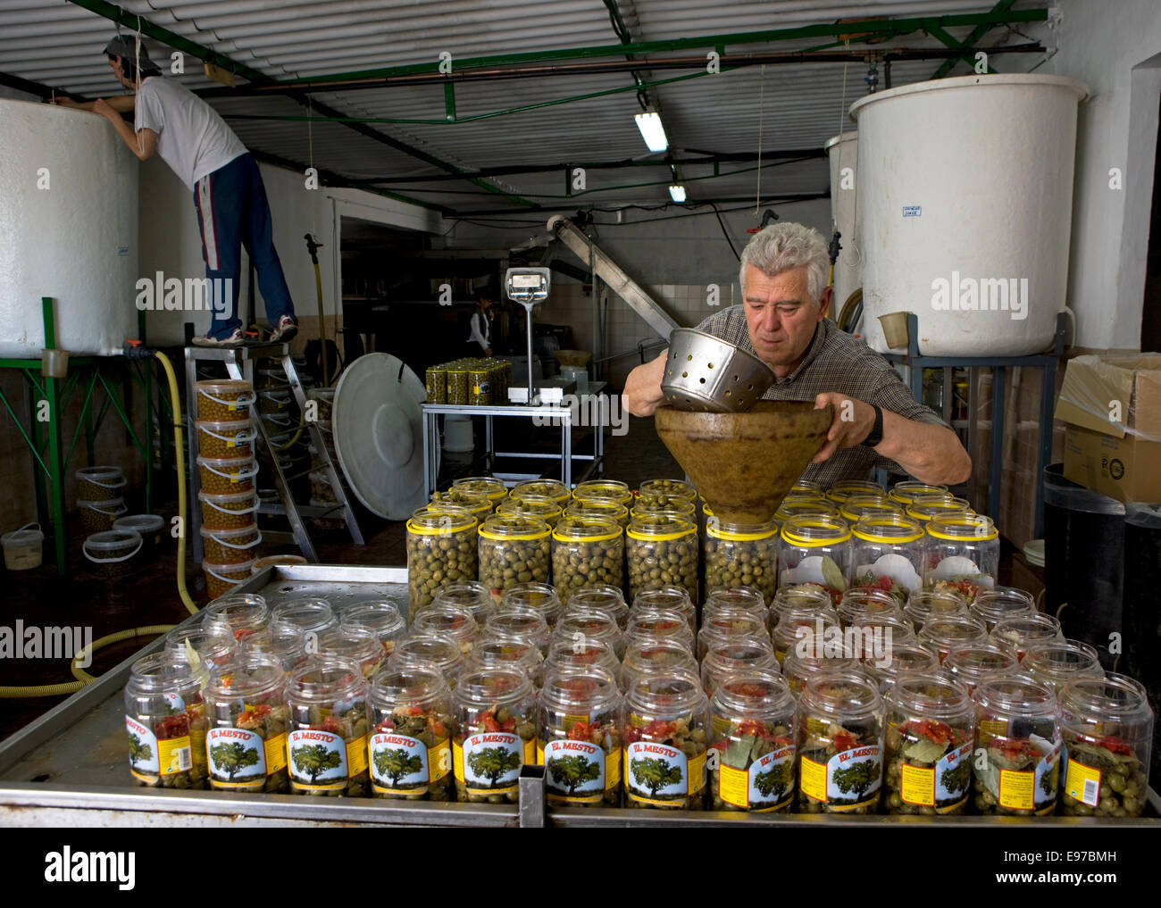 Olives in brine as made in the small factory El Mesto in Montalban ...