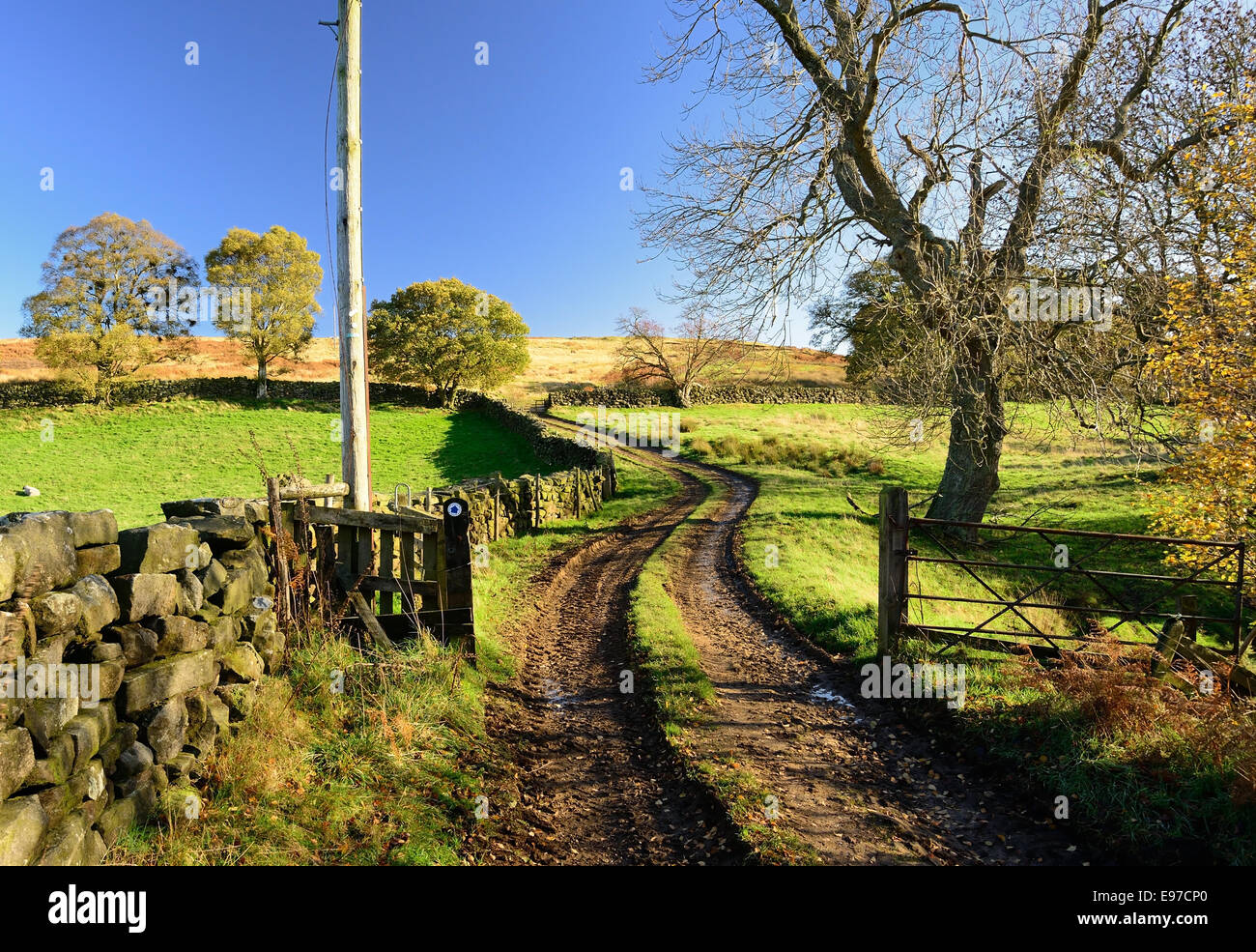 Bridleway horse tracks hi-res stock photography and images - Alamy