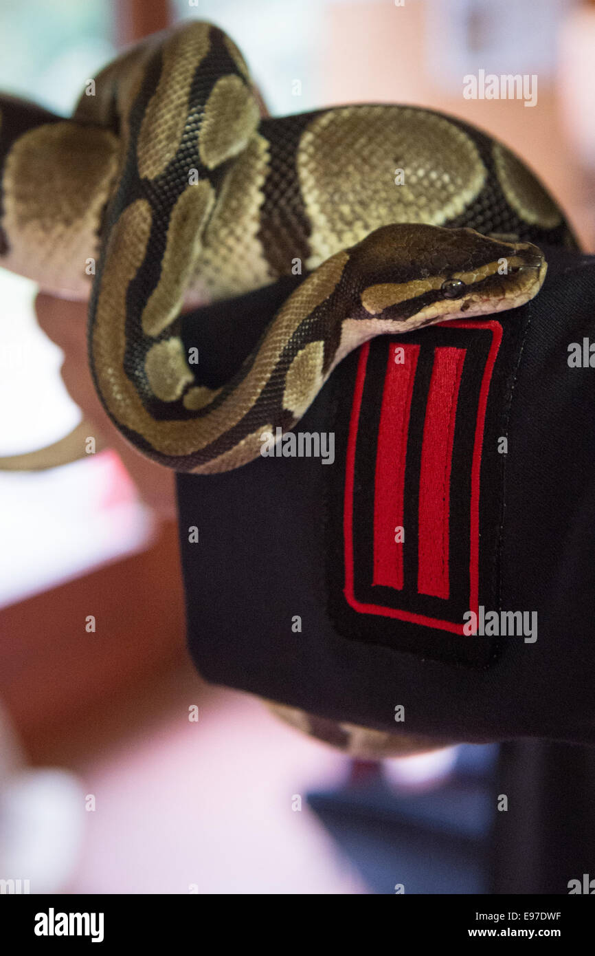 Lat logo hi-res stock photography and images - Alamy