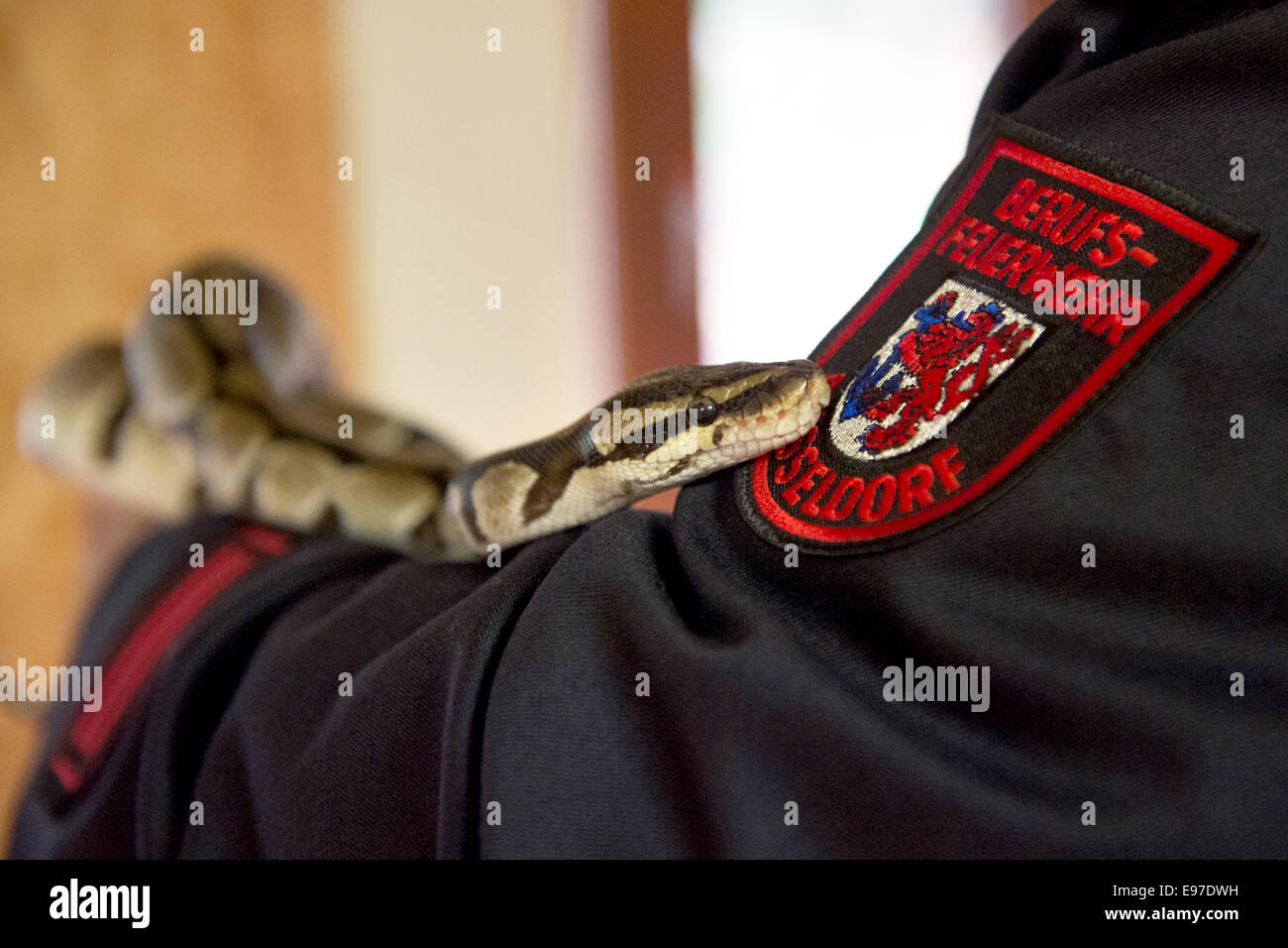 Dangerous for the environment logo hi-res stock photography and images ...