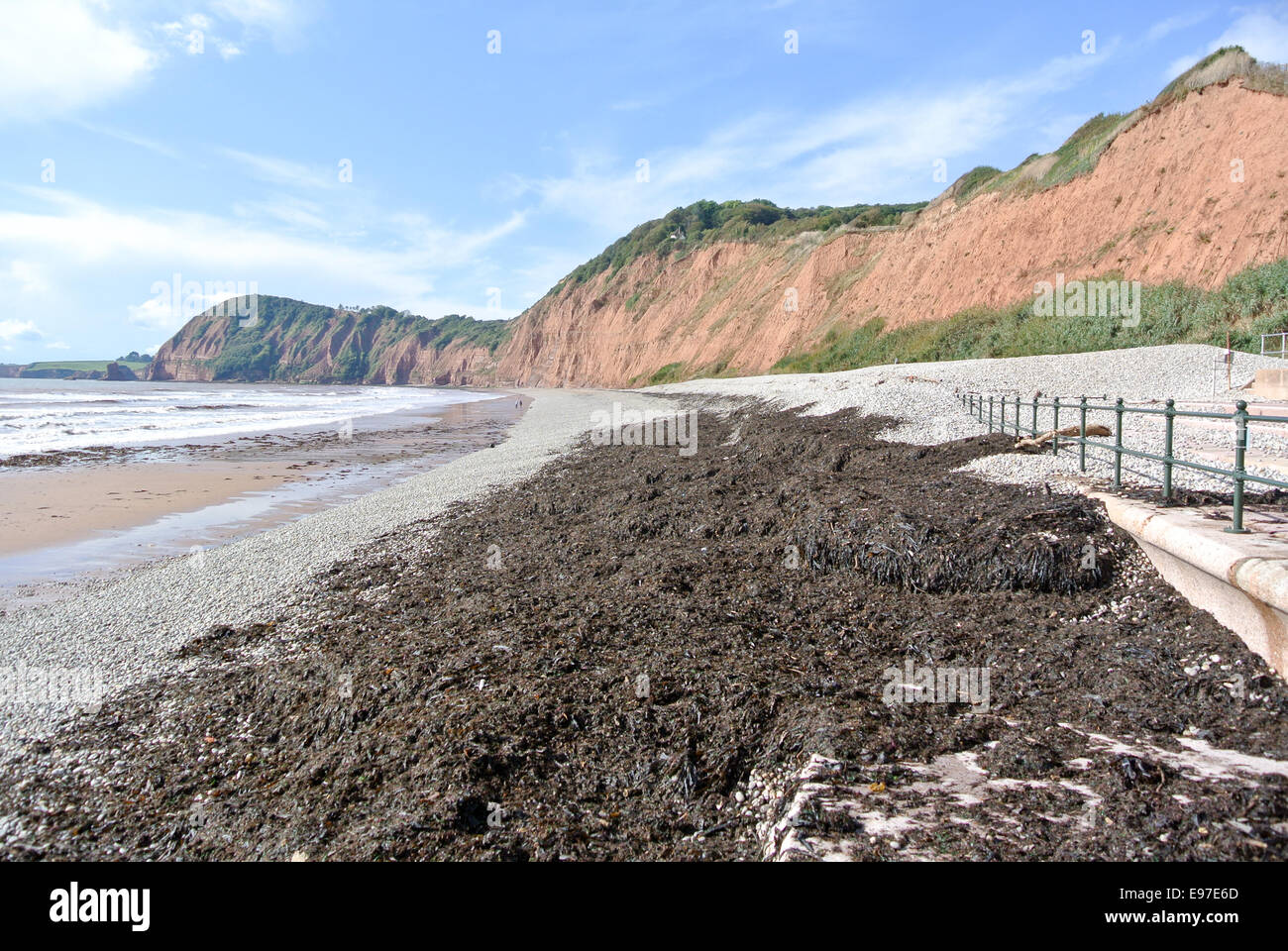 Red sandstone cliffs at Sidmouth,Devon Stock Photo - Alamy